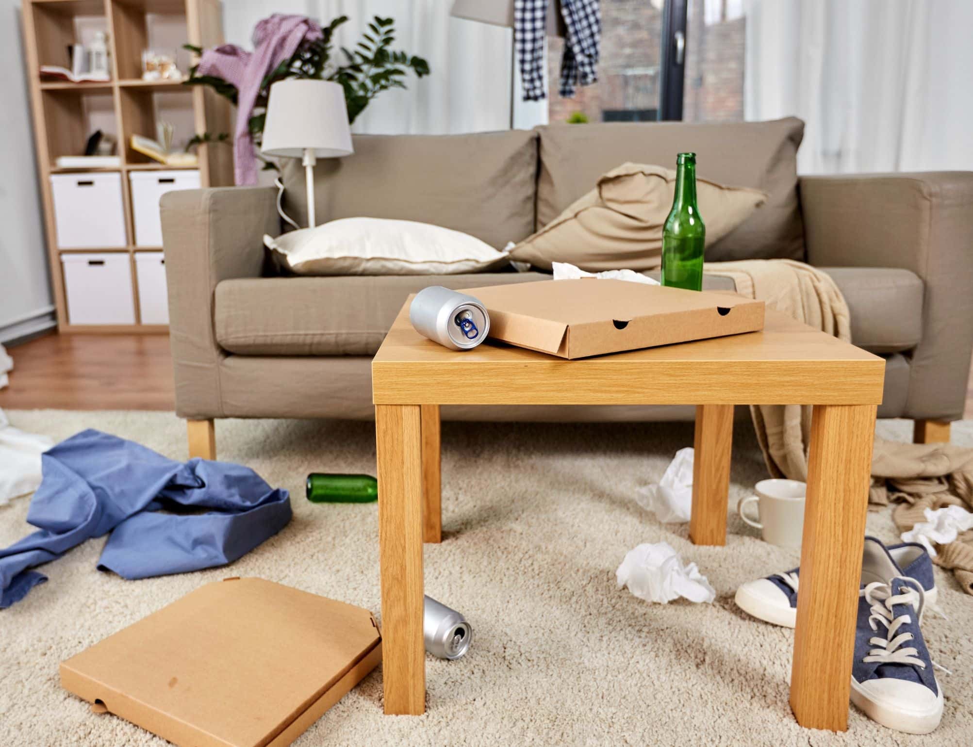 Fiente de pigeon dangers : Risques sanitaires et solutions